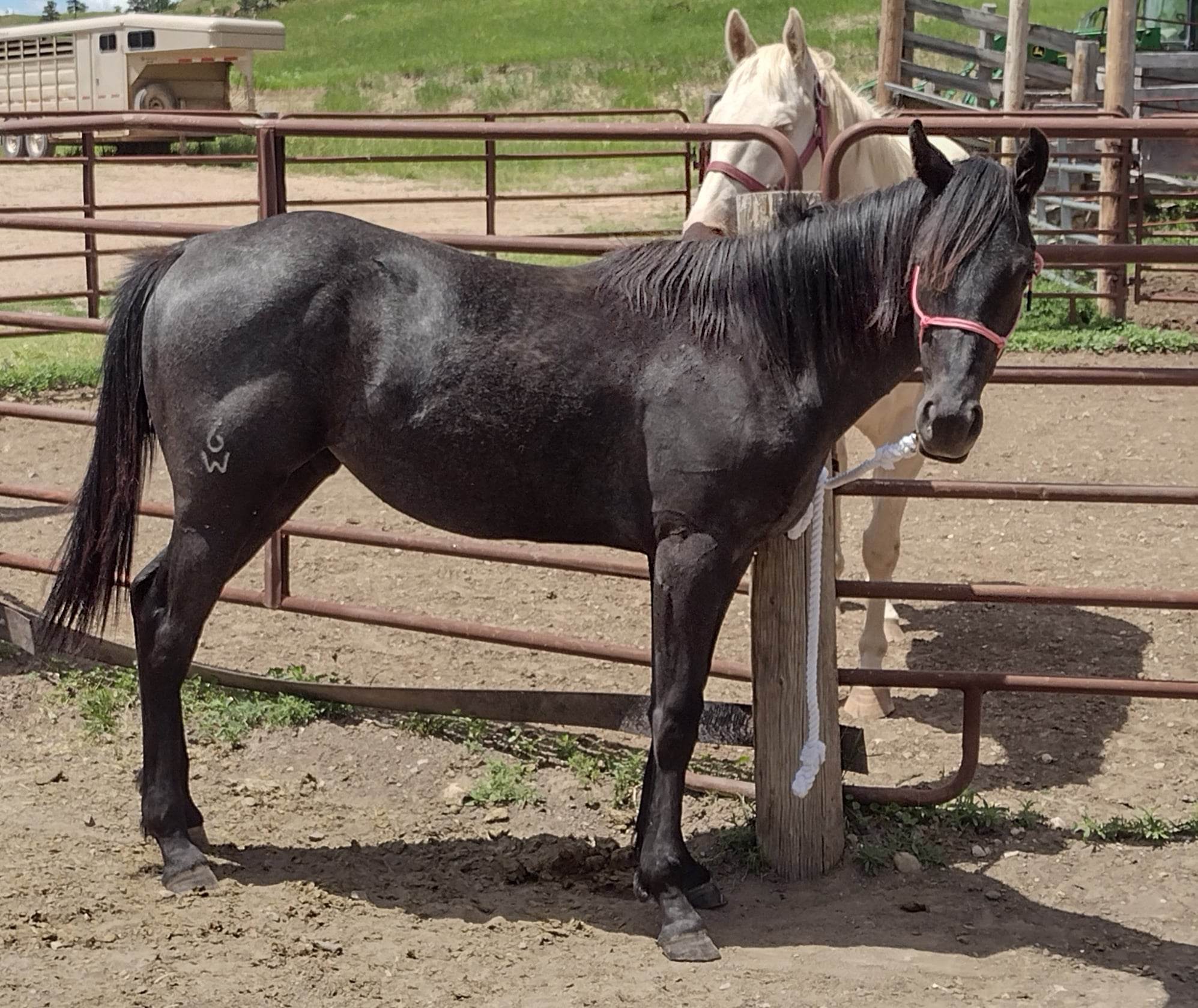 For Sale for updated info be sure to check out our Facebook pages ...